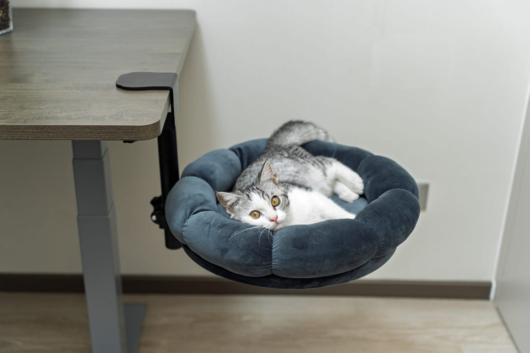 DeskPurrch™: The Cozy Under-Desk Cat Bed